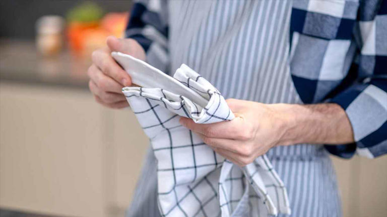 How dishcloths can (or can't) contaminate your kitchen