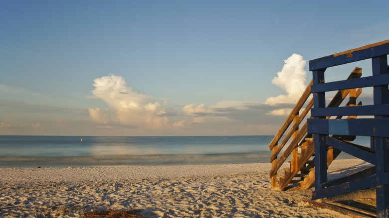 The Horrifying And Unexpected Reason Siesta Beach Is One Of Florida's ...