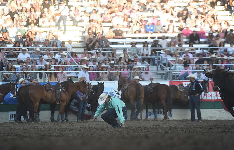 Reno Rodeo: 52 trespassed, 9 arrested, mostly for obstructing ...