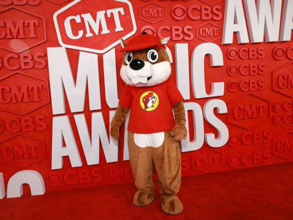 Famous beaver mascot goes to school in Buc-ee's first kids' book
