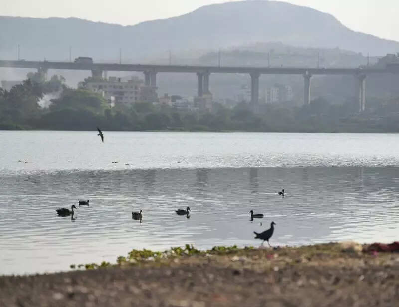 PMC explores possibility of utilising Jambhulwadi lake water for ...