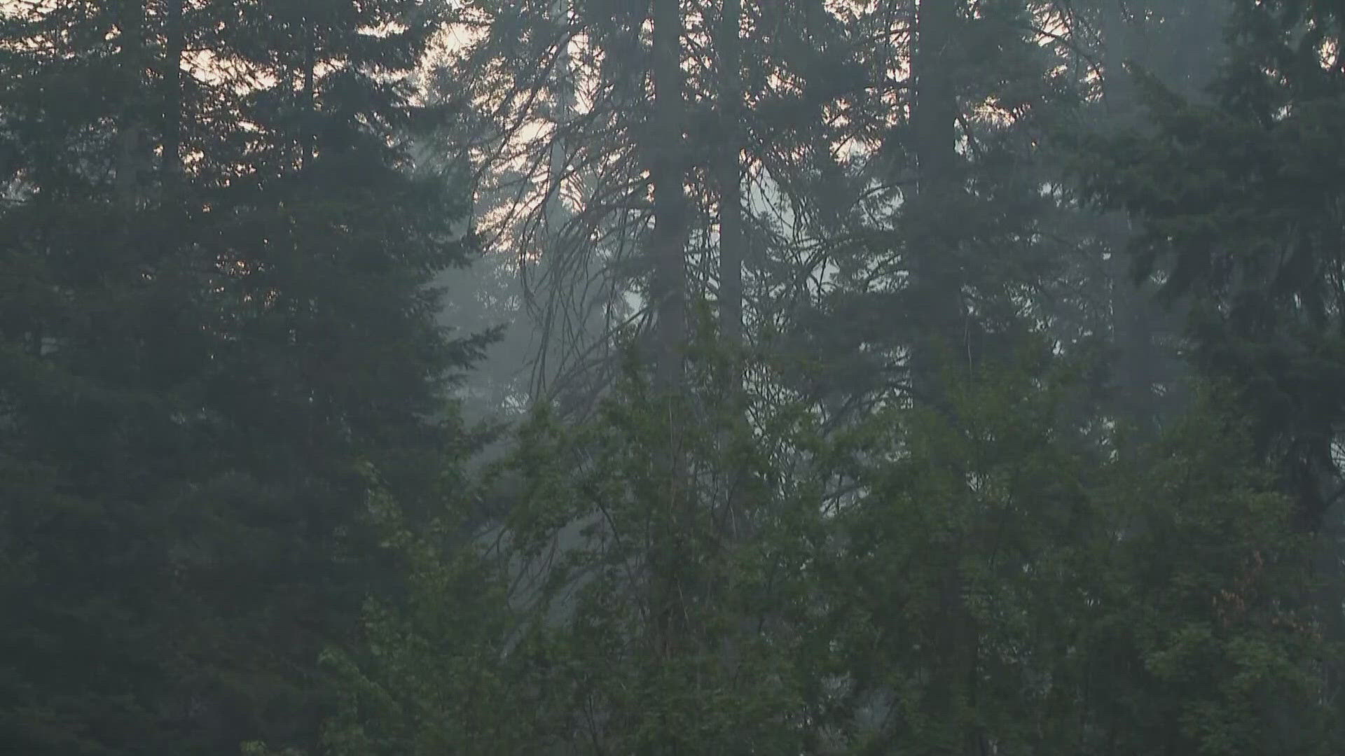 The Nettleton Gulch fire stretches to 38 acres