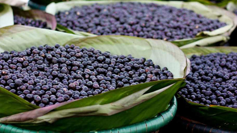 The Right Way to Pronounce Açaí