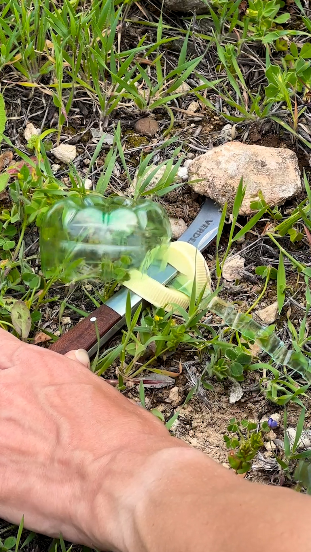 Innovative life hacks you need to try