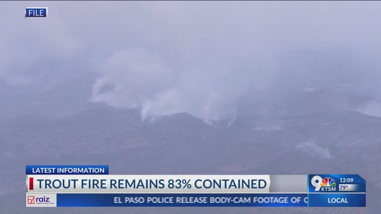 ‘Increased’ activity reported from New Mexico’s Trout Fire