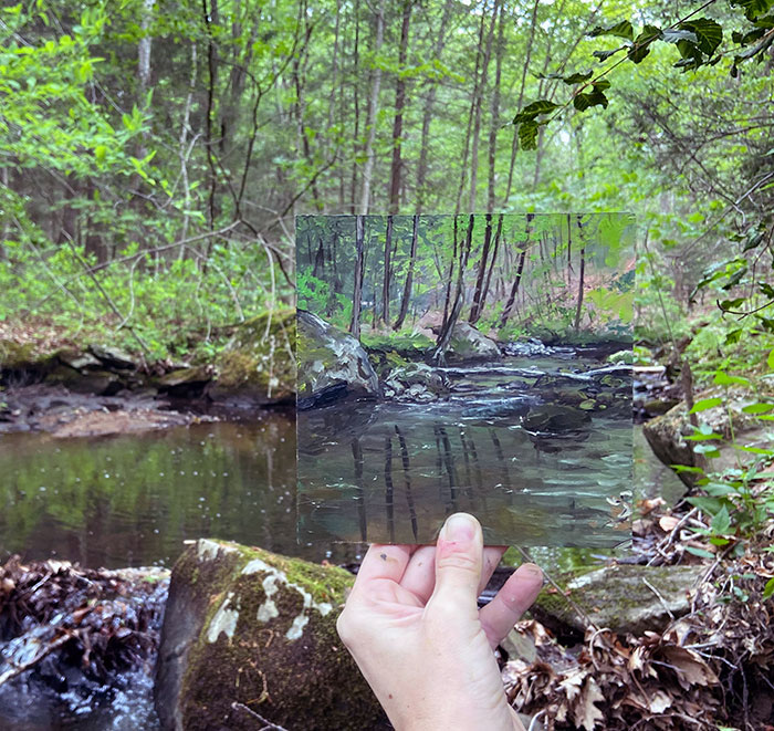 50 Things That Matched Their Surroundings So Well, They Made People Do ...