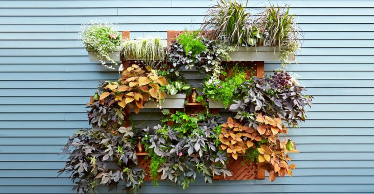 12 Visual Fixes That Make A Cheap Yard Look High-End