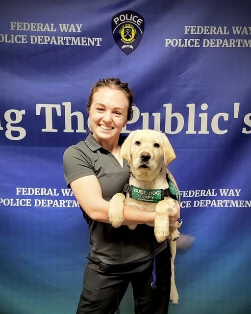 Nickel the Lab joins Federal Way PD as a Guide Dog for the Blind puppy ...