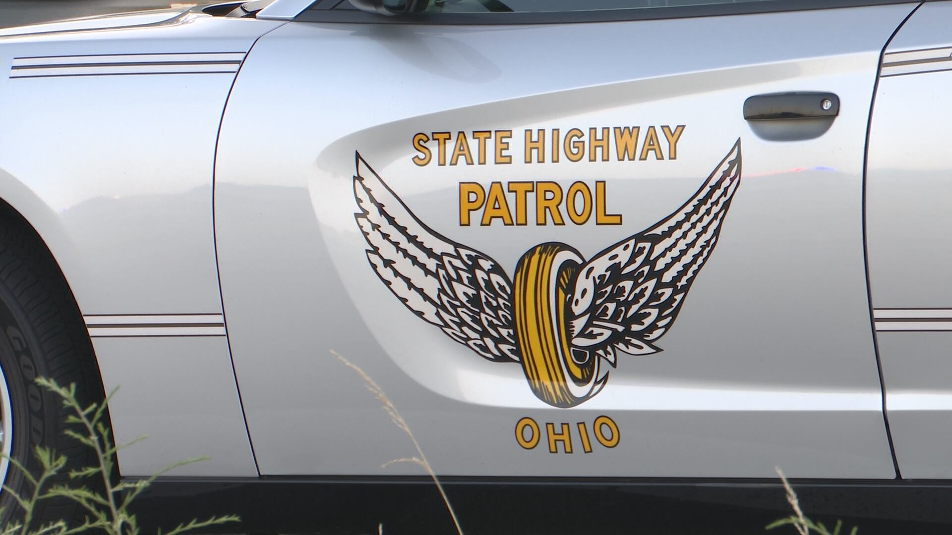 OSHP cruiser fatally strikes 27-year-old pedestrian in Medina Co.