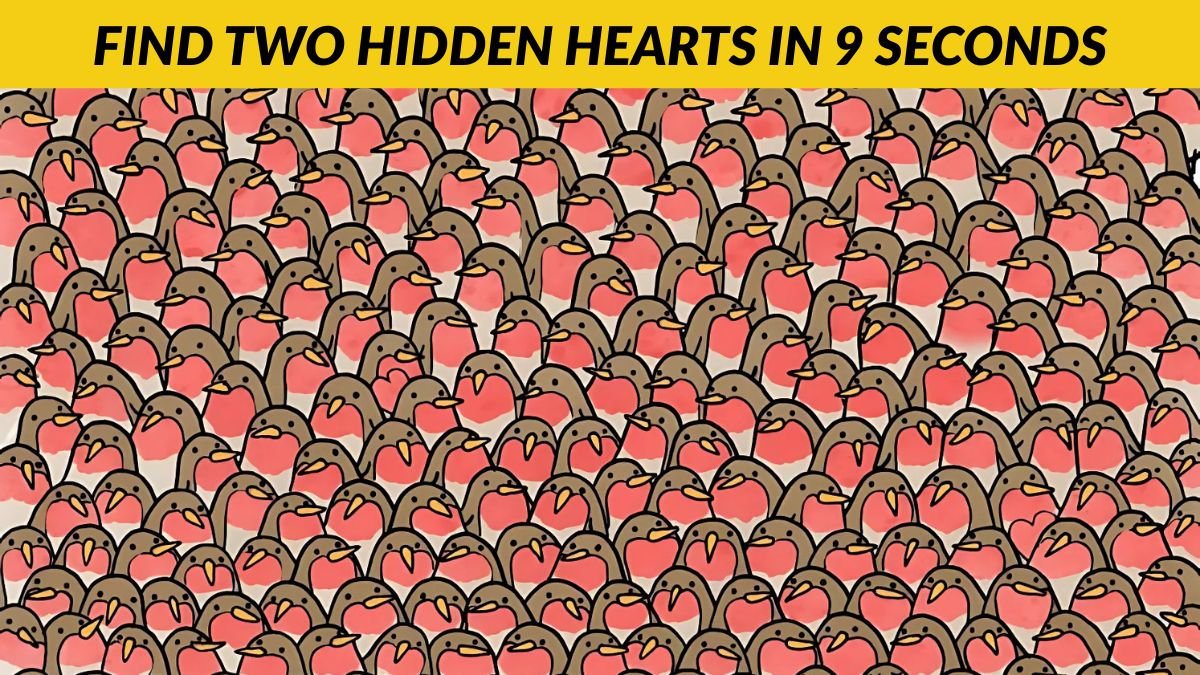 Visual Illusion: Only Those With 20/20 Vision Can Find the Two Hidden ...