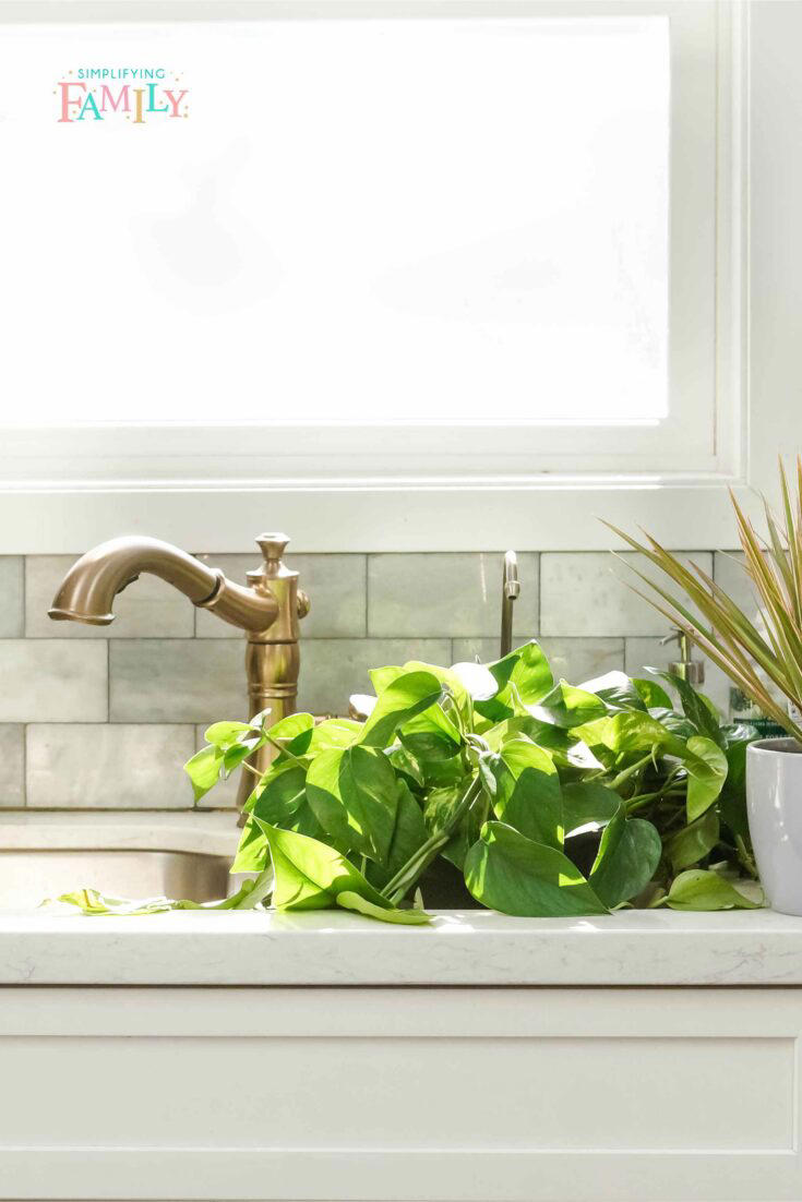 Feel Lazy? 7 Lazy Cleaning Hacks to Keep Your House Clean