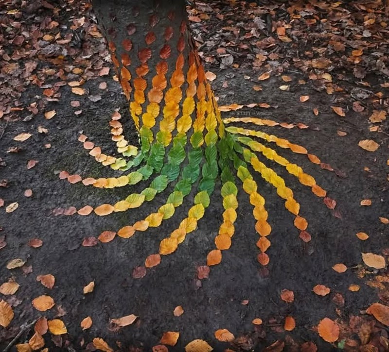 The Beautiful, Natural Artwork of Jon Foreman