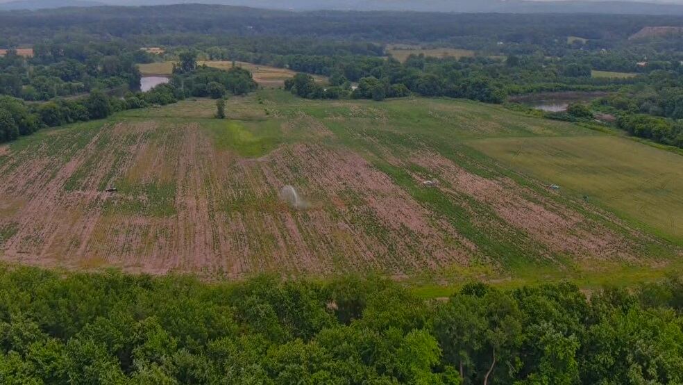 Efforts to restore a Colchester flood plain