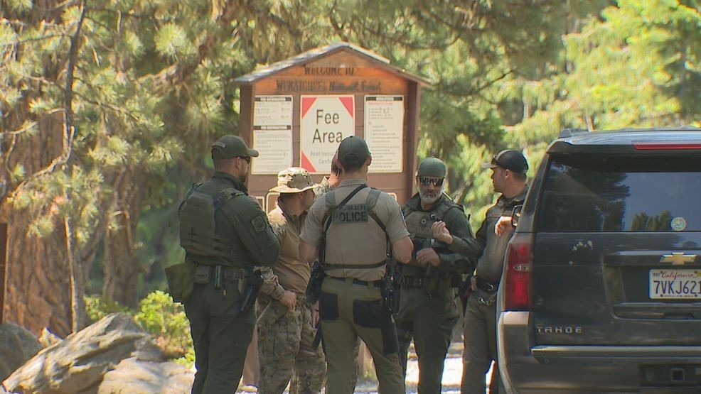DNA links Travis Decker to crime scene where his 3 young daughters ...