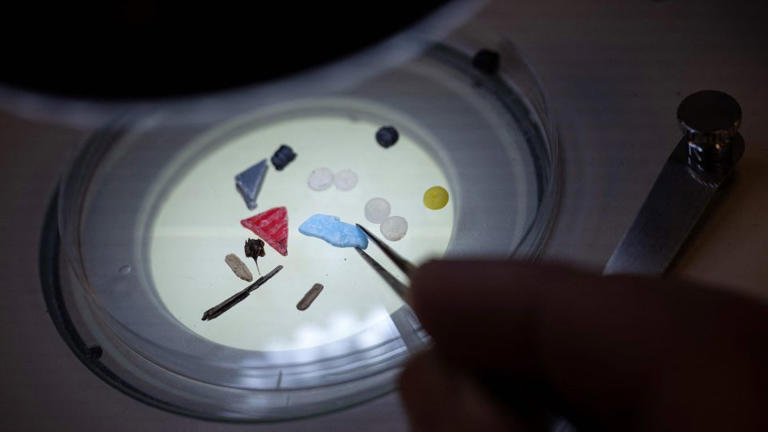 Scientists discovered microplastics in human semen and follicular fluid