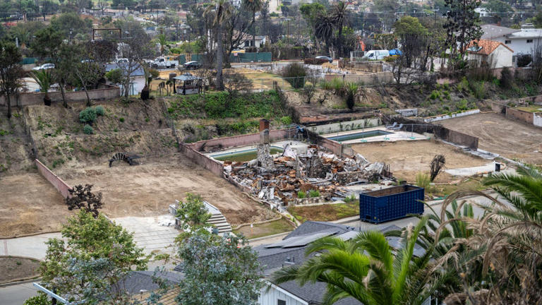 LA City Council unanimously approves crackdown on "disaster tours" of Pacific Palisades