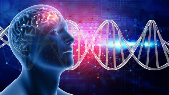 Neurosurgeon explains how 'brain health is pretty easy to achieve ...