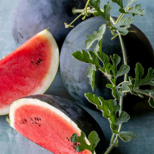 How to grow watermelons vertically in small garden spaces – 4 key steps ...