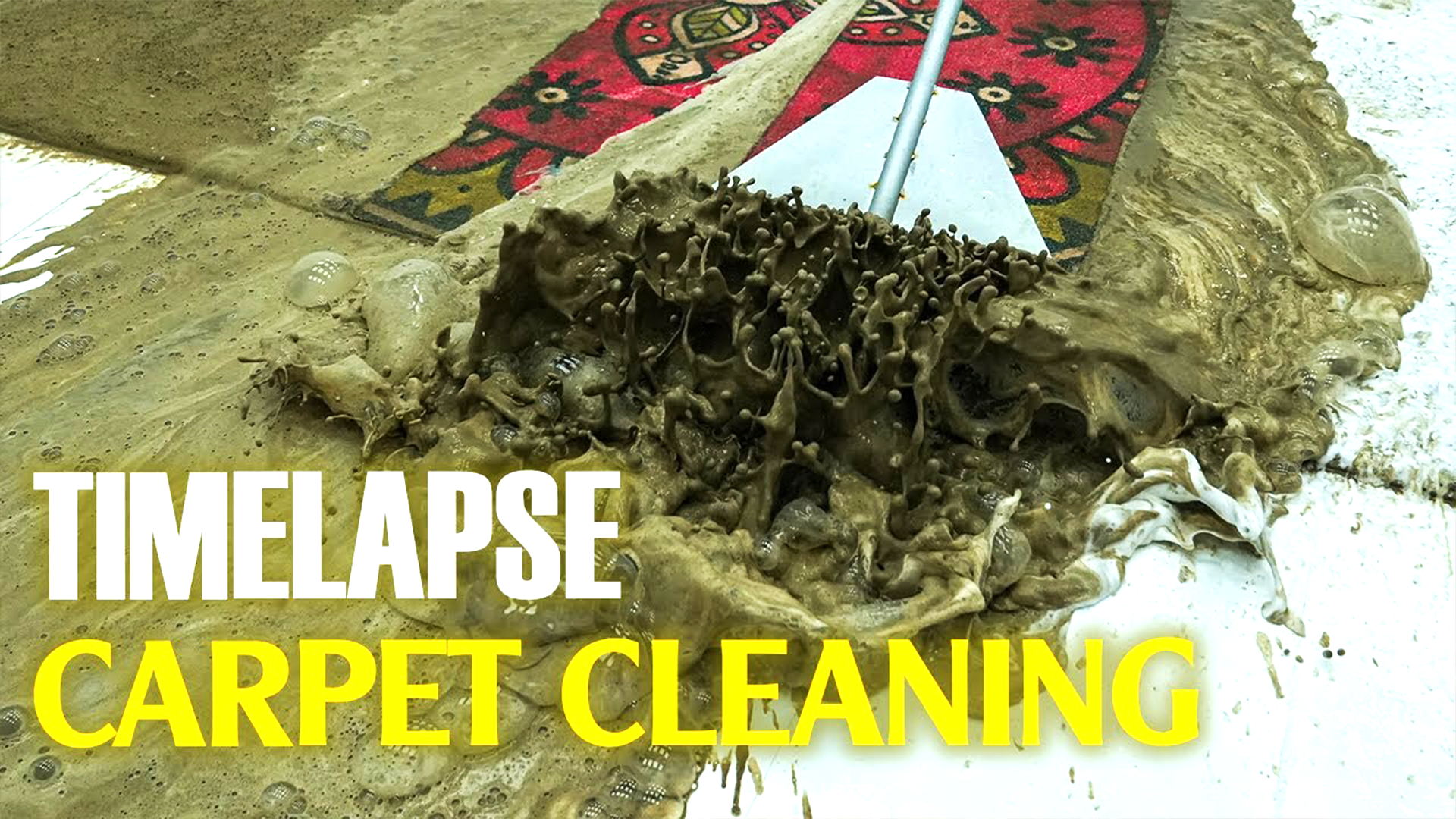 Relax With This ASMR Carpet Cleaning Timelapse – Satisfying Deep Clean ...