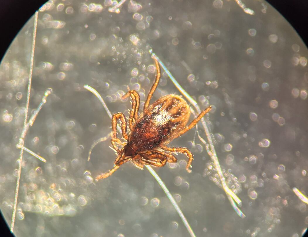 3 BRILLIANT MINUTES: Warming climate could be the cause of increasing ...