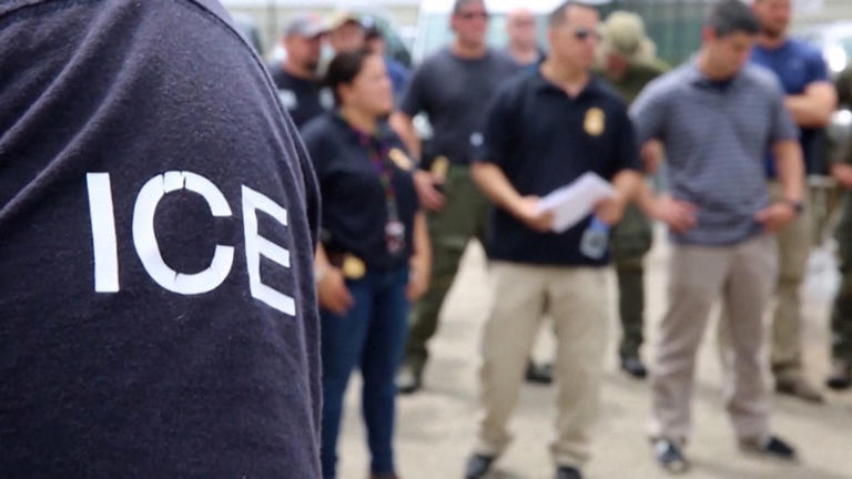 Tennessee sees surge in law enforcement partnerships with ICE