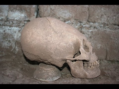 Mystery Of Akhenaten And The Elongated Skulls Of Peru: DNA Results In Full