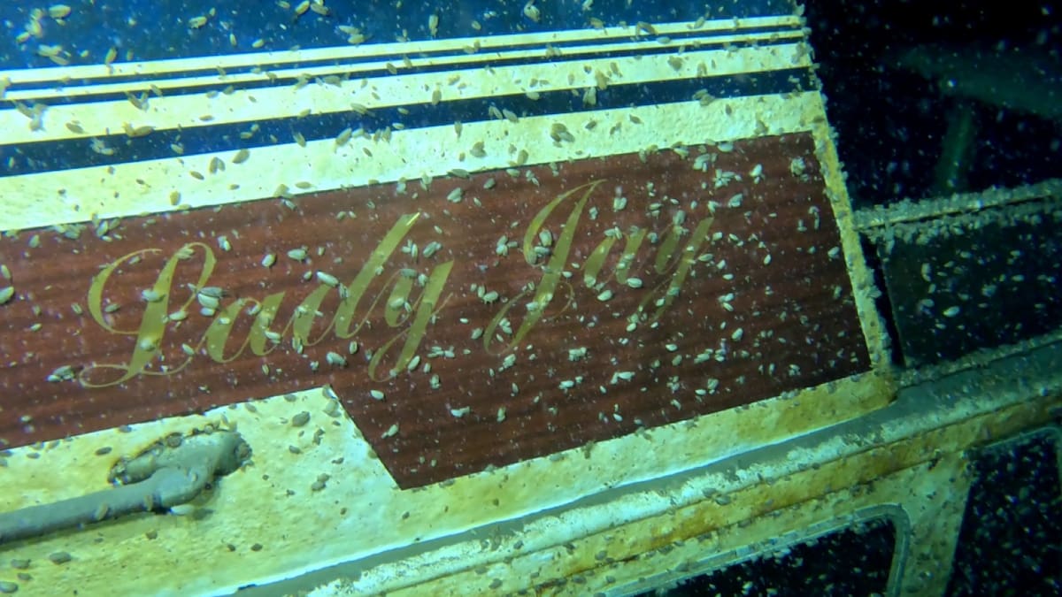 Sauvetage miraculeux: L'épave du «Lady Jay» retrouvée dans le lac de ...