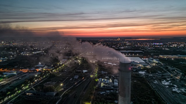 Photographer makes concerning discovery while studying beloved creature ...