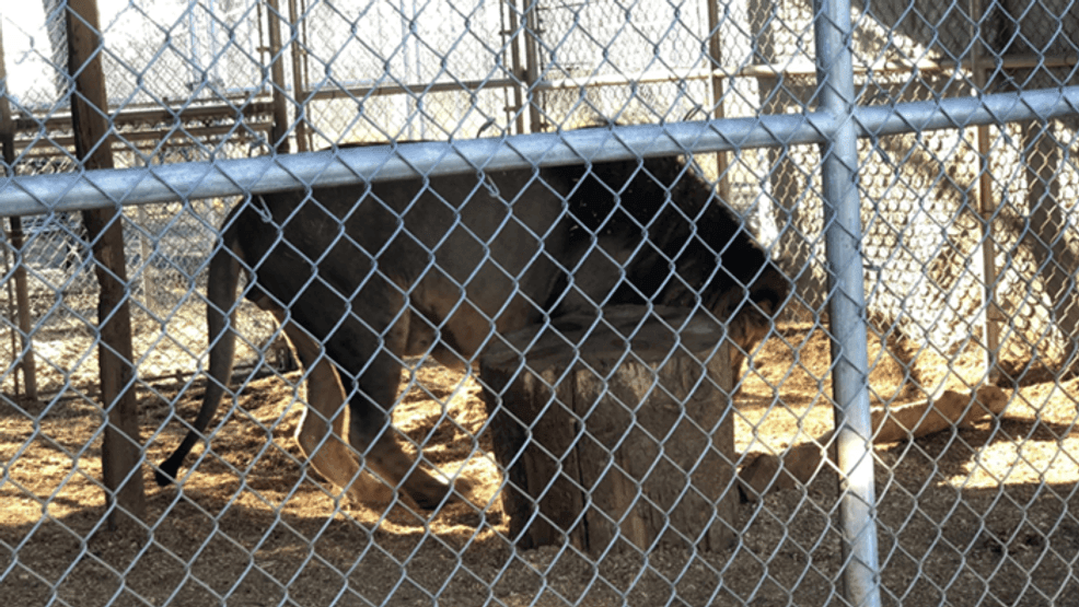 PETA demands zoo closure, transfer animals to sanctuaries amid lawsuit