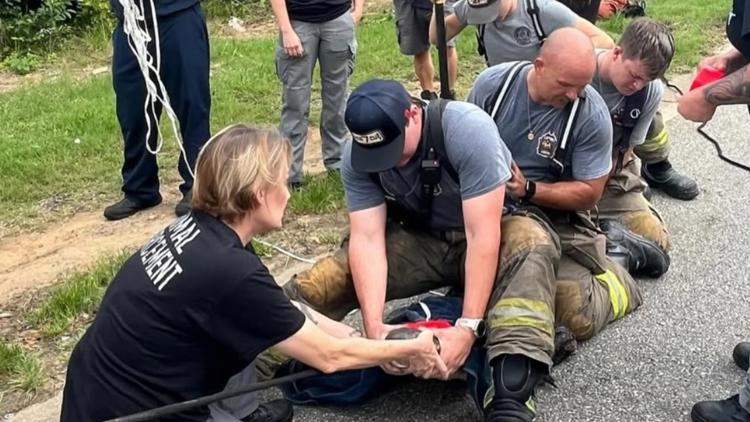 Gator spotted in South Bibb marks 11th capture in one month | Here's ...