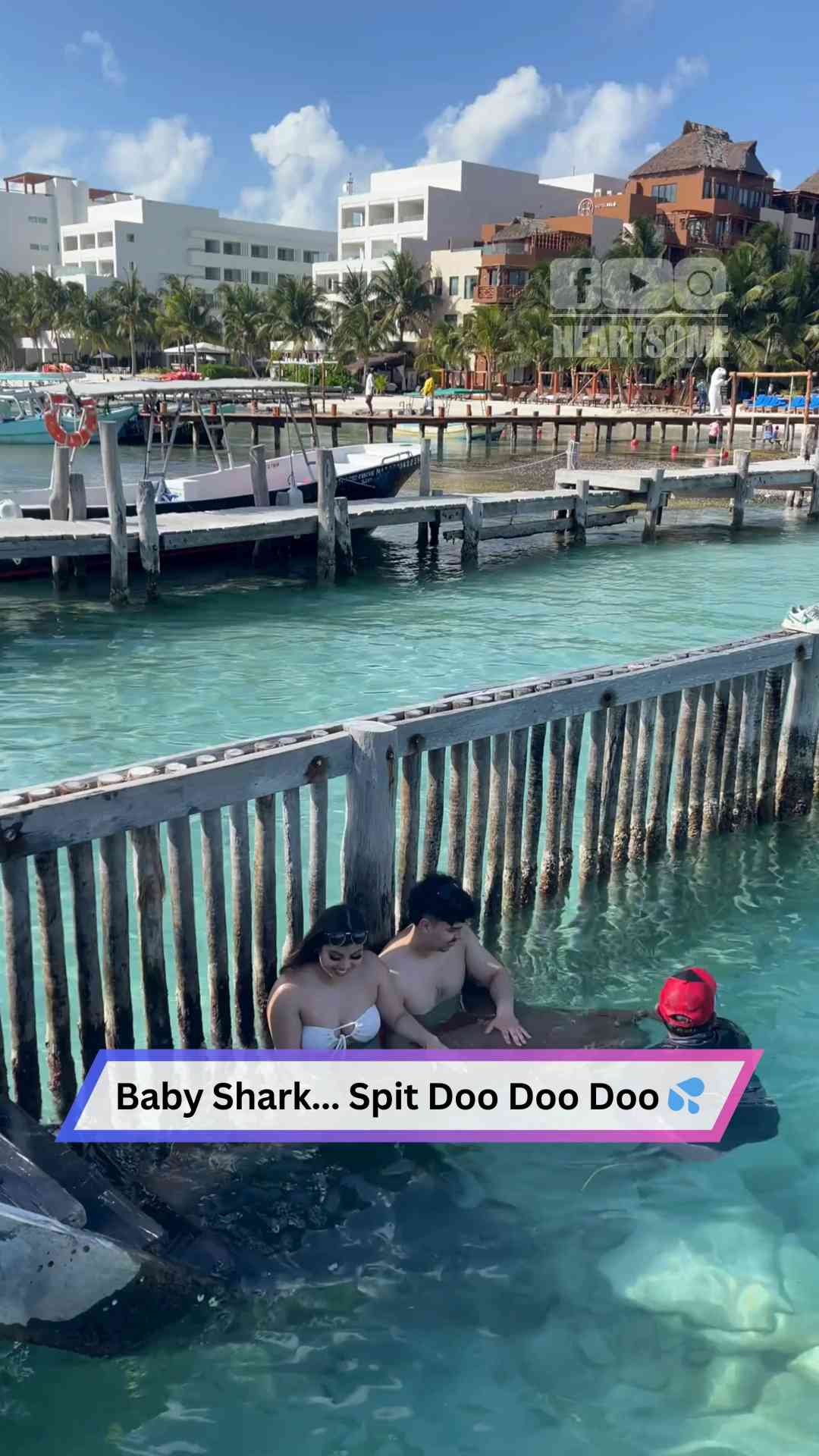 Baby Shark Spits on Boy’s Face After a Petting Session in Water