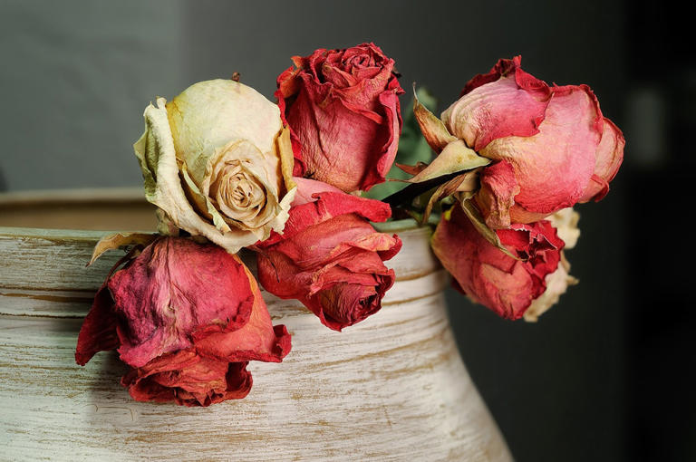 Cómo secar flores con laca paso a paso y conservar ramos perfectos