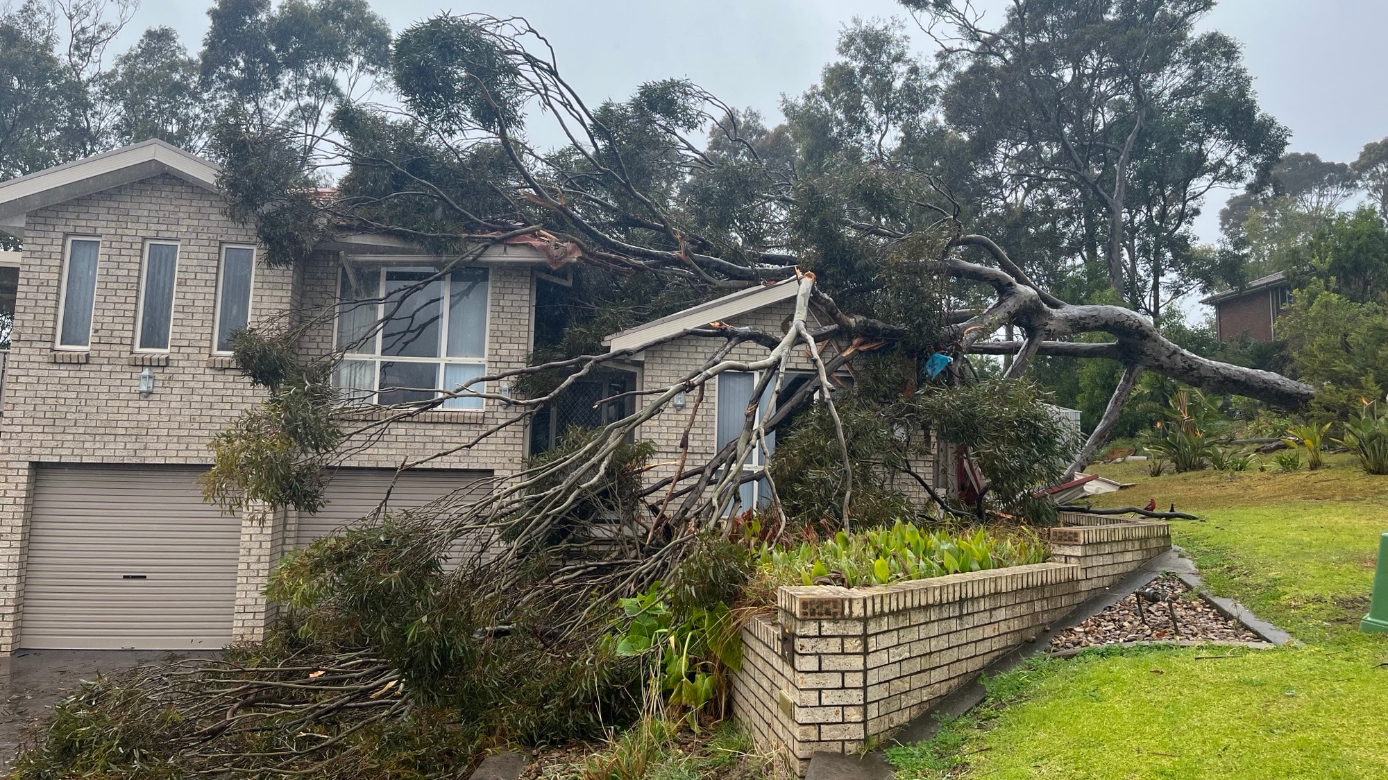 East coast low drenches south coast of NSW, felling trees, damaging homes