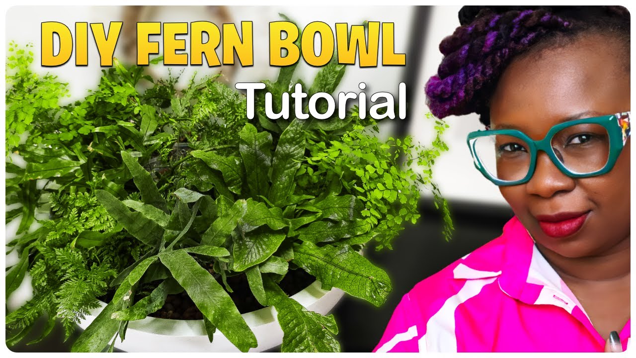 How to Make a Stunning Fern Bowl (Beginner-Friendly!)