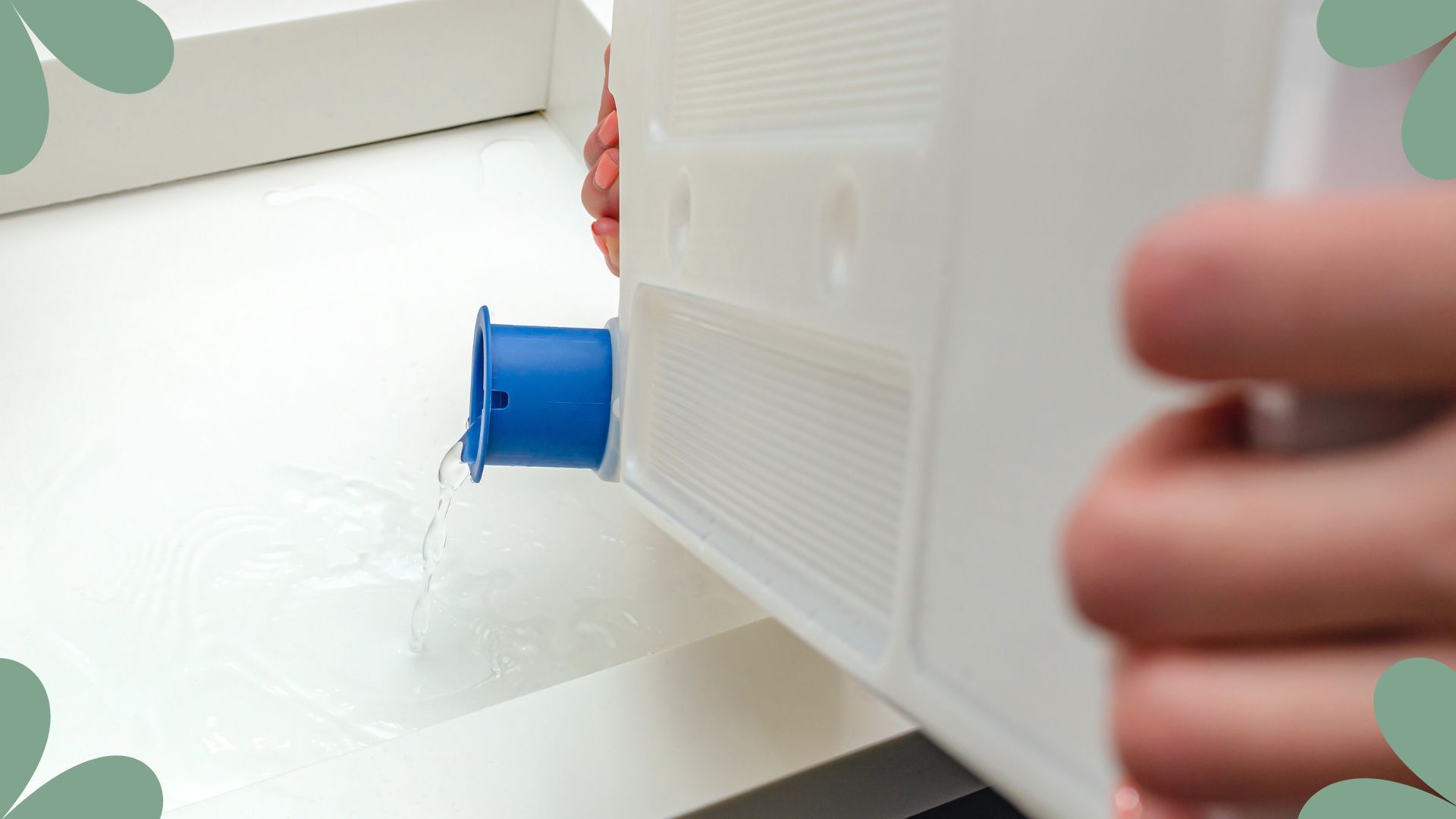 How to reuse tumble dryer water around the house, as recommended by an ...