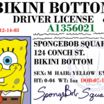 Spongebob Finally Has His Drivers License!