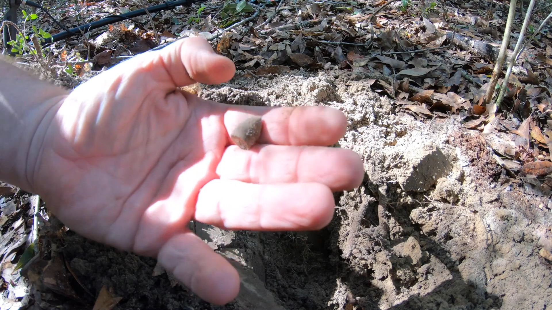 Metal Detecting a Haunted Battlefield DAY & NIGHT! Part 2