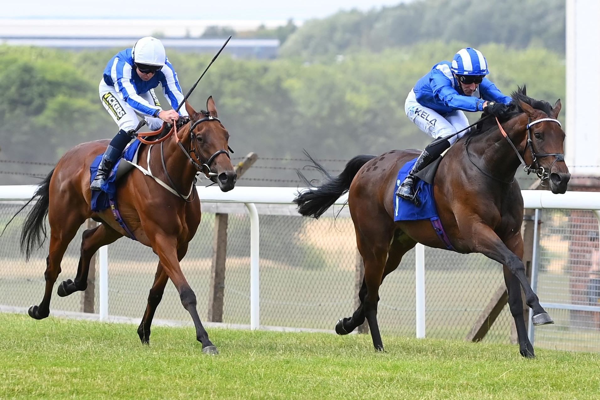 Art of Racing on display with red hot action at Pontefract’s latest meeting