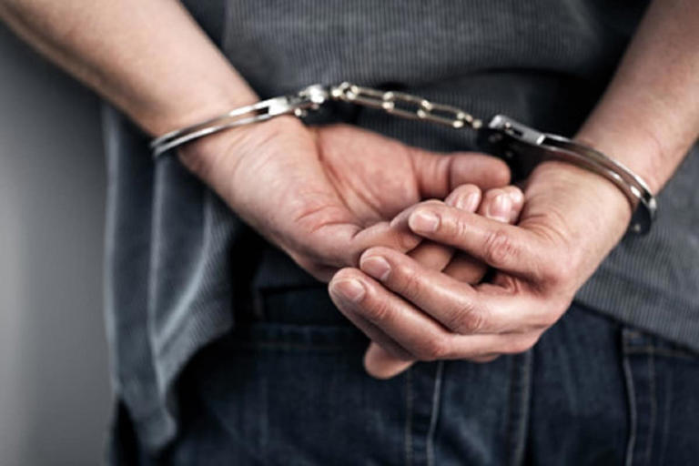 Japanese fugitive faces deportation after being arrested for fraud, theft