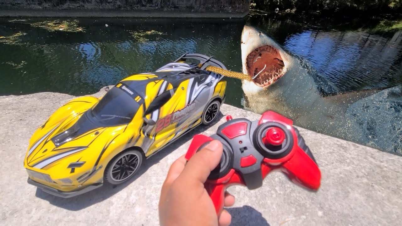 RC Car Fishing Challenge – Can It Really Catch a Fish?