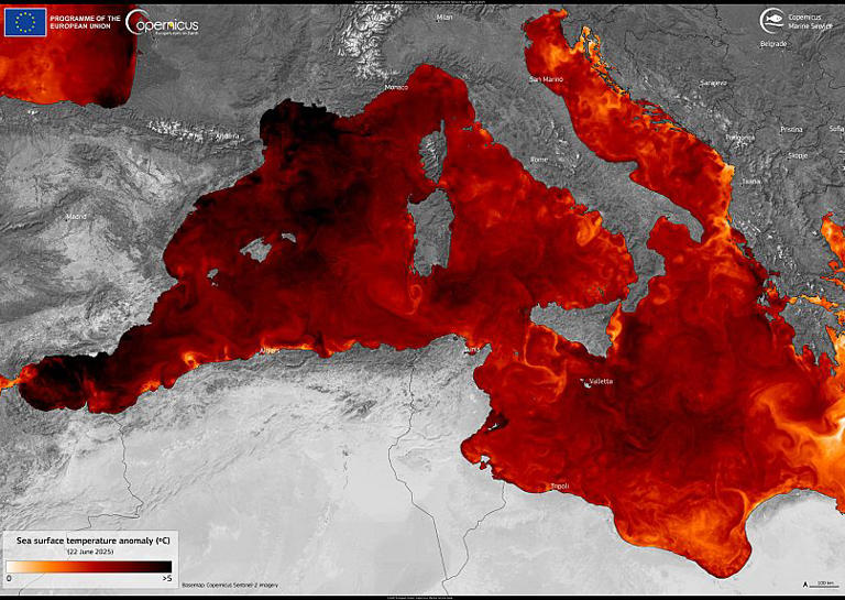 Canicule : quel est l'impact du changement climatique sur les vagues de ...