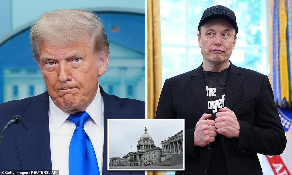 MAGA world divided over Trump-Musk feud