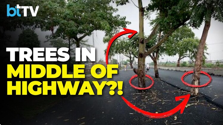 Bihar’s NH-22 Goes Viral: Full-Grown Trees Left In Middle Of 4-Lane ...