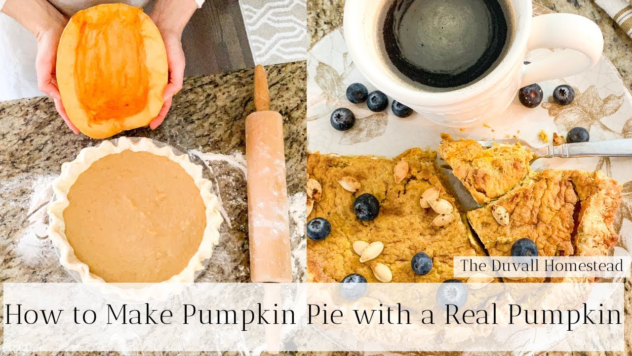 How to Make Pumpkin Pie with a Real Pumpkin ¦ Healthy Breakfast Pumpkin ...