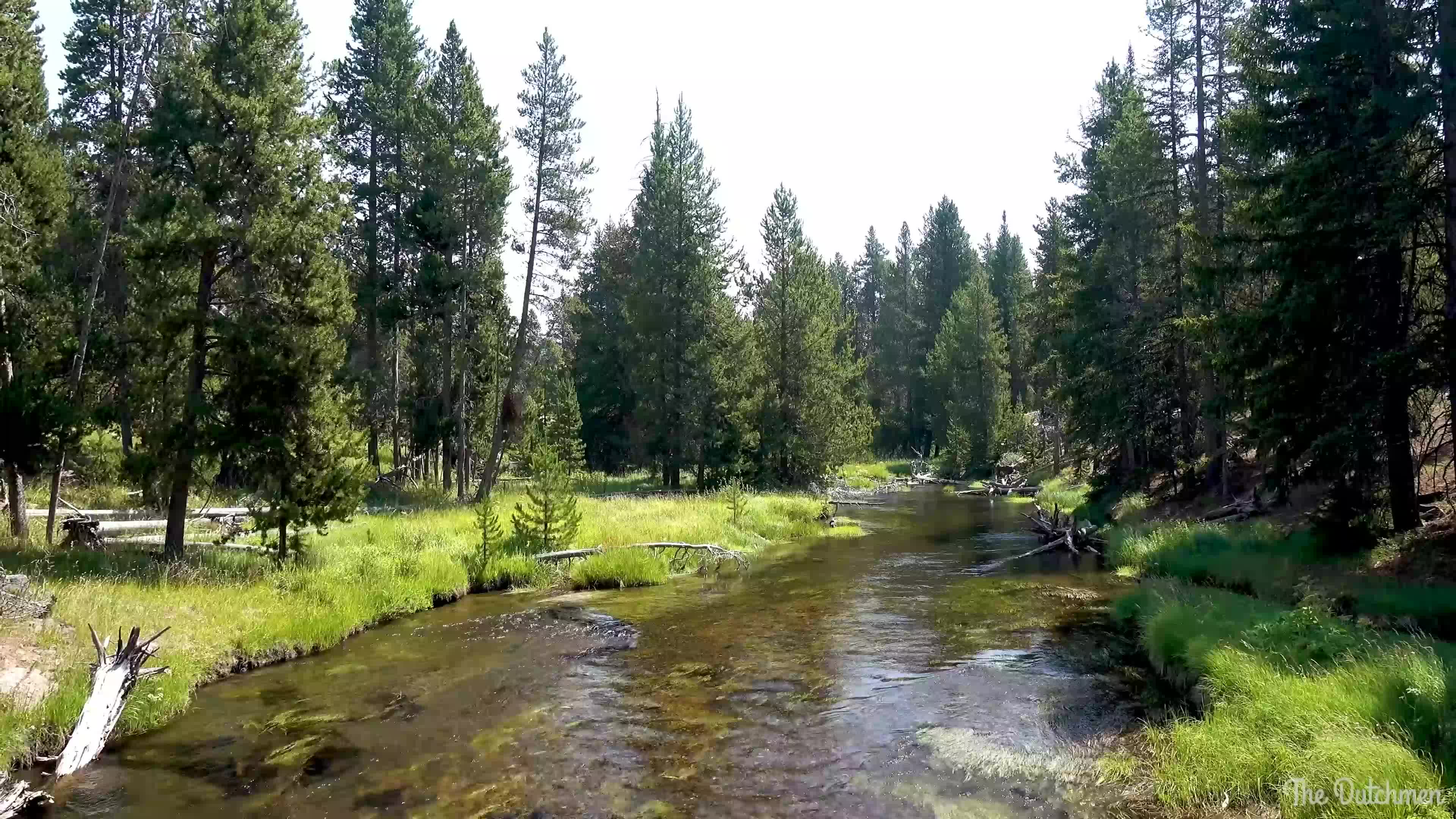 Explore Yellowstone National Park (4K) – Geysers, Wildlife & Natural Beauty