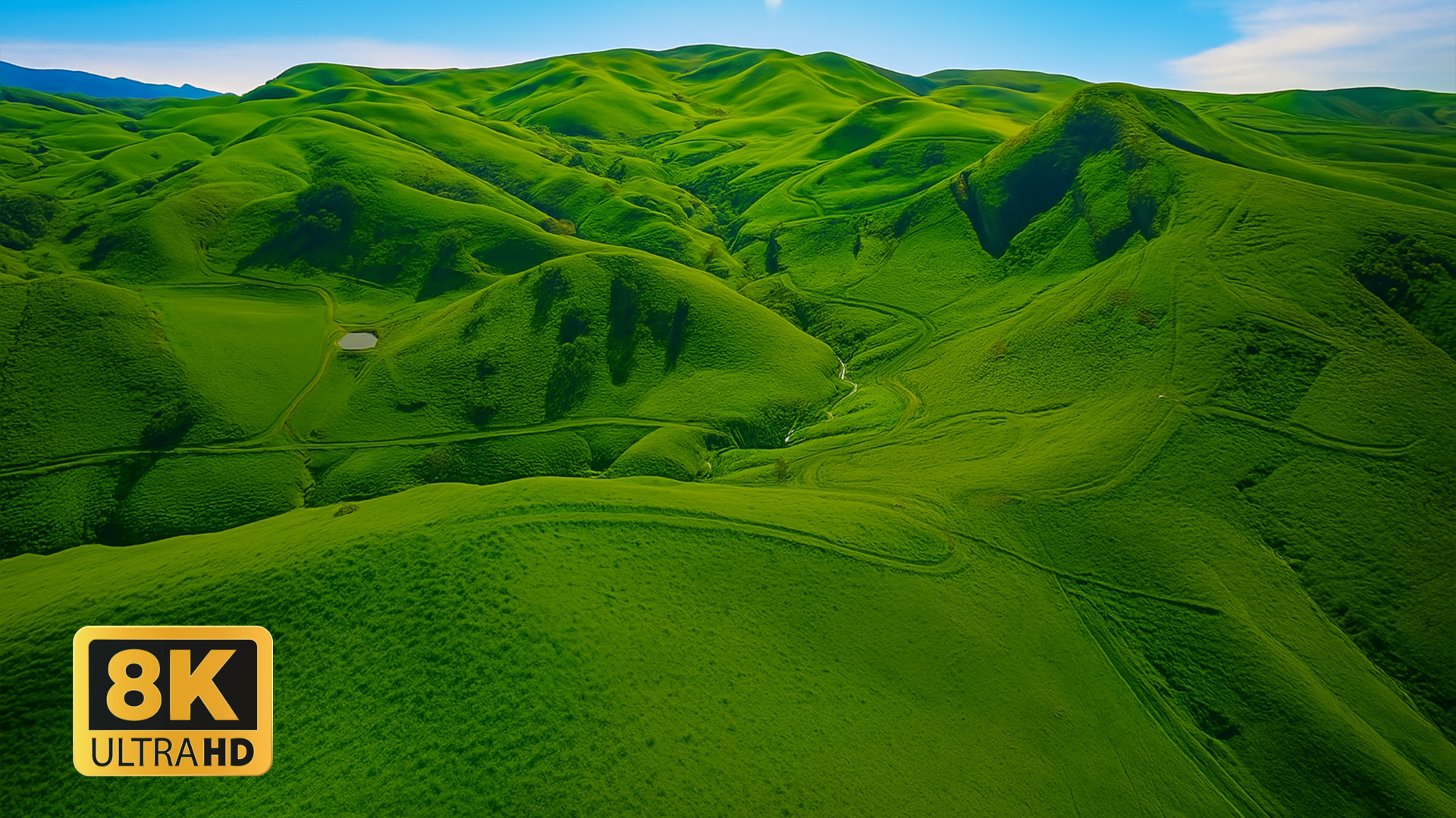 Dolby Vision™ 12K HDR ULTRA HD 120FPS – Next-Gen Showcase for 8K and 4K TVs