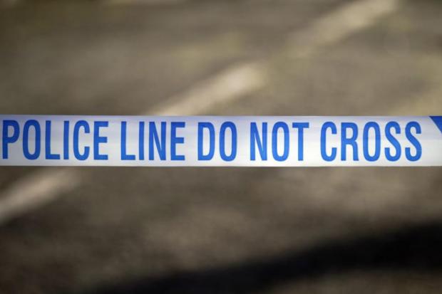 Elderly man who tragically died after being hit by car named by police