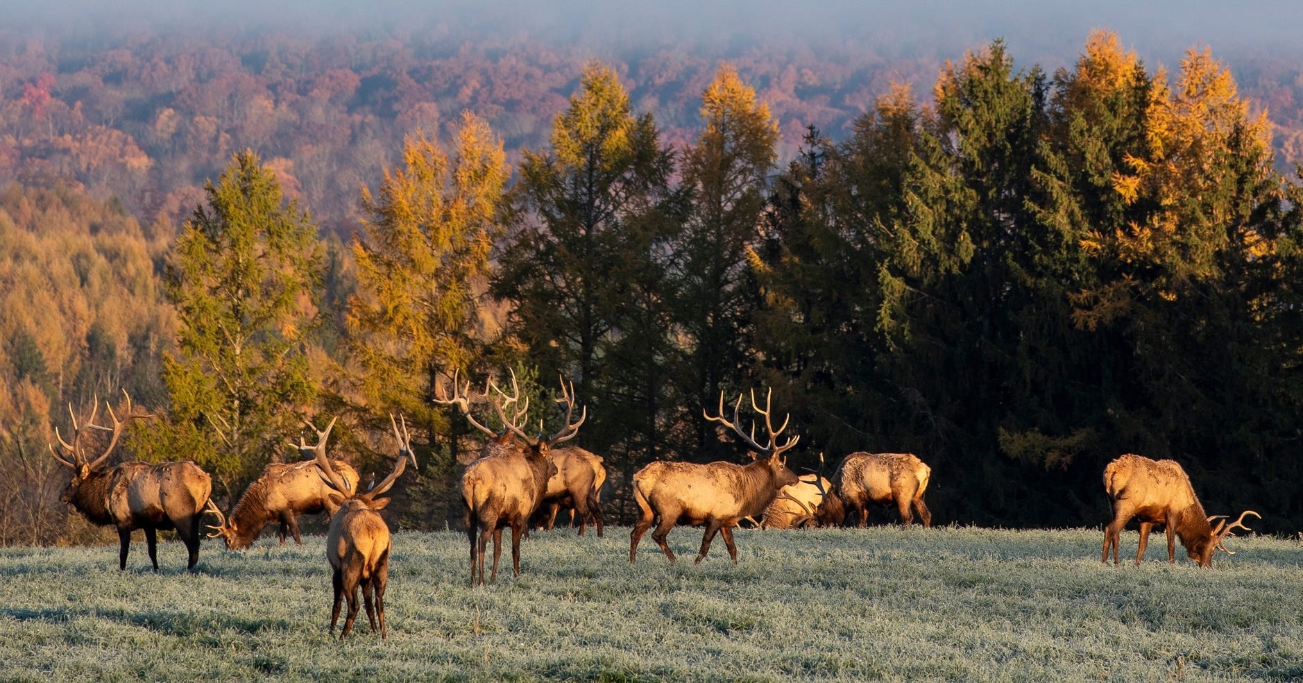 When is the first day of fall? When's the autumn equinox? When do ...