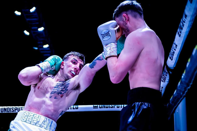 Blades boxer is ready to go again