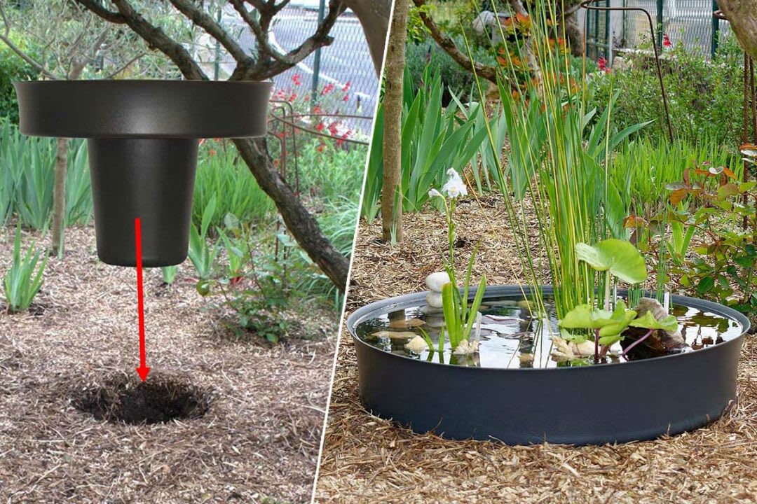 Nanopland’o, un mini bassin de jardin logé dans un cache-pot médaillé ...